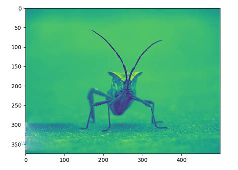Matplotlib绘制图像 Matplotlib教程