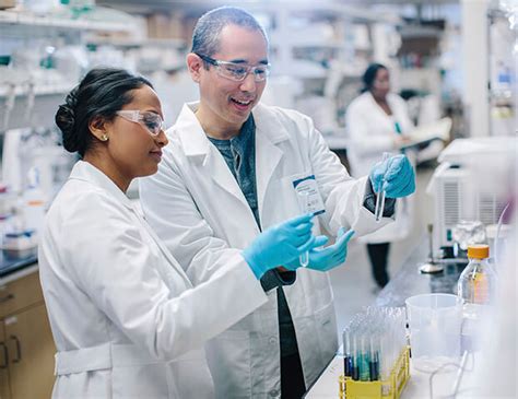 Search Our Job Opportunities At Kaiser Permanente