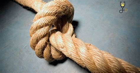 Tie Up Horse Quick Release Knot At Sally Patrick Blog