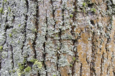 What Is A Microhabitat