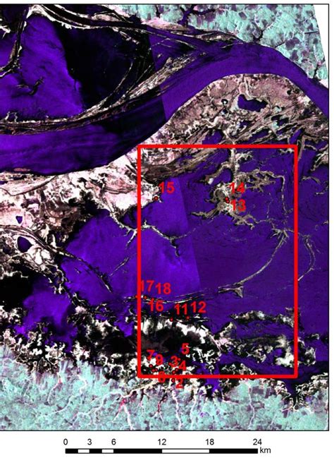 Mapping Habitat Distribution Vegetation Structure And Flooding Dynamics In The Amazon Basin