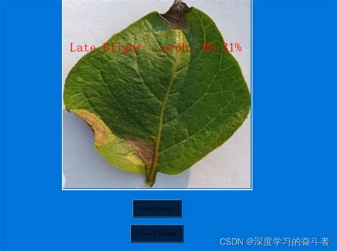 土豆叶病害识别（python代码，pytorch框架，深度卷积网络模型，很容易替换为其它模型，带有gui识别界面） csdn博客