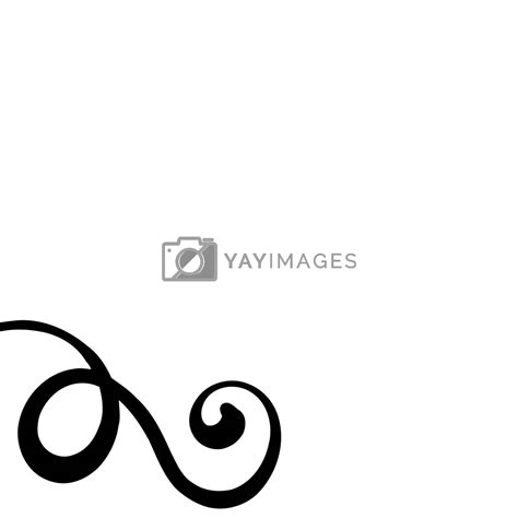 Curl Calligraphy Graphic Line Romantic Pattern Border Design Element In Vintage Style