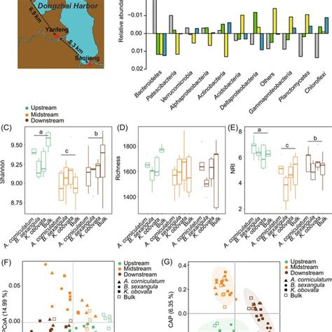 Bacterial Community Diversity And Structure Of Three Mangrove Forests