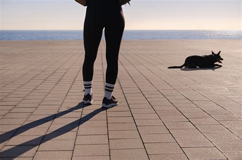 바르셀로나에서 개와 함께 바다 풍경을 바라보고 있는 건강하고 자신감 있는 라틴계 여성의 다리 뒤에서 본 모습 알아볼 수 없는 사람 여가 활동과 건강한 라이프 스타일 개념