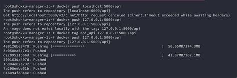 Unable To Get Private Docker Registry To Work Locally Works Remotely