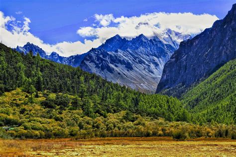 雪山草地图片素材 雪山草地设计素材 雪山草地摄影作品 雪山草地源文件下载 雪山草地图片素材下载 雪山草地背景素材 雪山草地模板下载 搜索中心