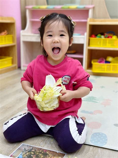 유아 겨울 오감놀이 배추 놀이 탐색활동 네이버 블로그