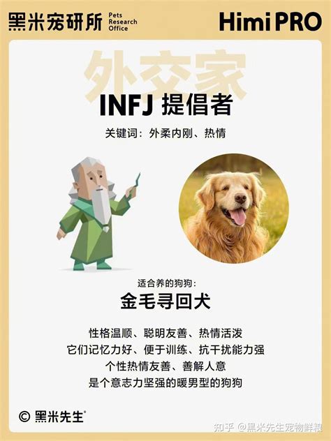 MBTI 16种人格都适合养什么狗狗二 知乎