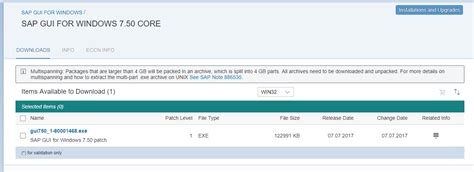 SAP GUI 7 50 For Windows Patch Level 1