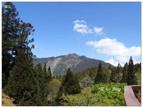 阿里山 台灣一葉蘭 健行筆記