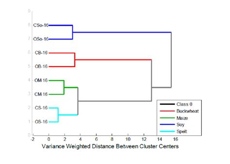 Dendrogram Of Hierarchical Cluster Analysis Download Scientific Diagram