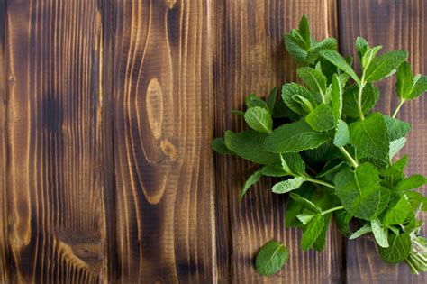 나무 배경에 신선한 민트의 무리 맨 위 보기입니다 공간을 복사합니다 0명에 대한 스톡 사진 및 기타 이미지 0명 갈색