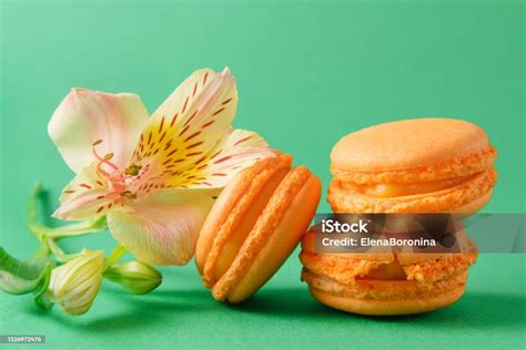 베이지 색 프렌치 마카롱 쿠키 3개 녹색 배경에 노란 꽃 과자 0명에 대한 스톡 사진 및 기타 이미지 0명 꽃 식물 노랑