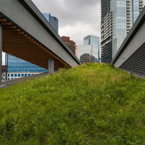 Extensive Green Roof Vs Intensive Green Roof Sedumscape