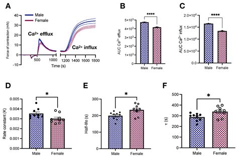 Connecting Aortic Stiffness To Vascular Contraction Does Sex Matter