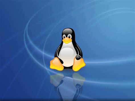 Respaldar Bases De Datos Mysql En Linux Webirix