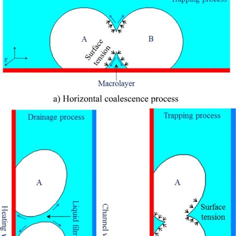 The Schematic Diagram Of Bubble Coalescence Process [11] Download