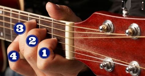 Como Tocar Violão Guia Completo Para Iniciantes