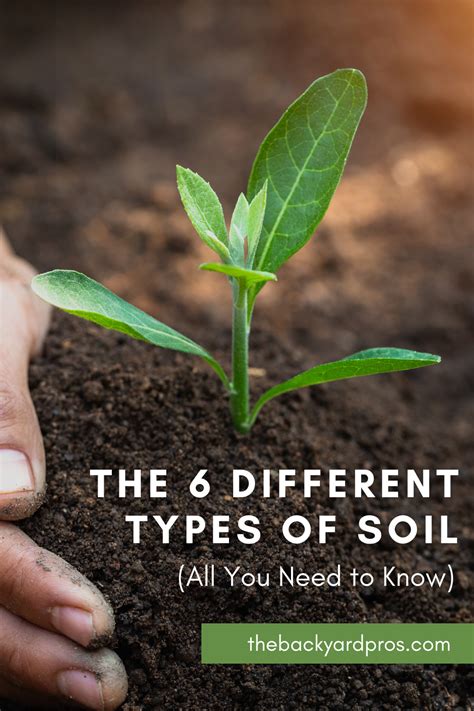 The 6 Different Types Of Soil All You Need To Know Types Of Soil Soil Acid Loving Plants