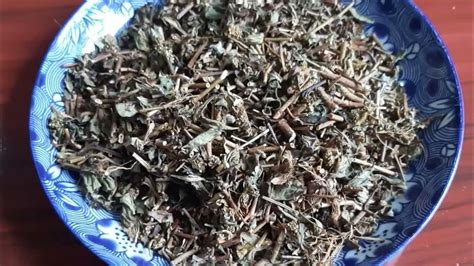 ថ្នាំបុរាណខ្មែរ ឈឺក្បាលវិលមុខ វិលផ្ទះ នឹងមិនមានទឹកដោះអោយកូនបៅ Youtube