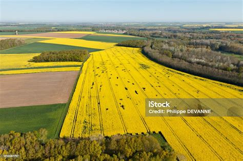 유레 에 루아르 부서 센터 발 드 루아르 지역에서 하늘을 Fron 본 유채 필드 프랑스 0명에 대한 스톡 사진 및 기타 이미지 Istock