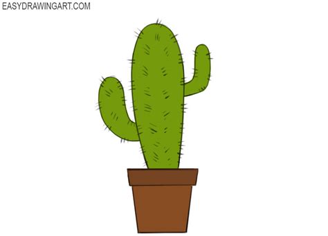 How To Draw A Cactus Easy Drawing Art