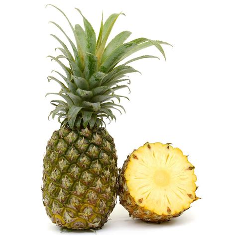 Myanmar Burma Fresh Pineapple From Top Agri Food Suppliers Tridge