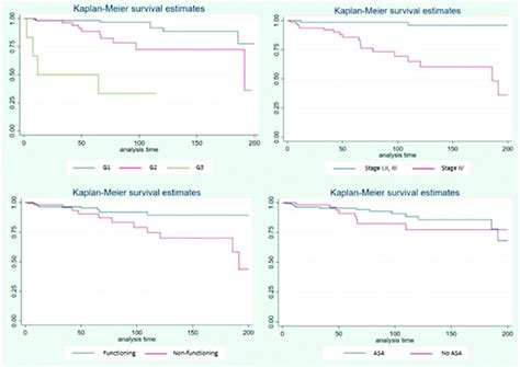 Overall Survival For Gep Nen Patients According To Histological Grade