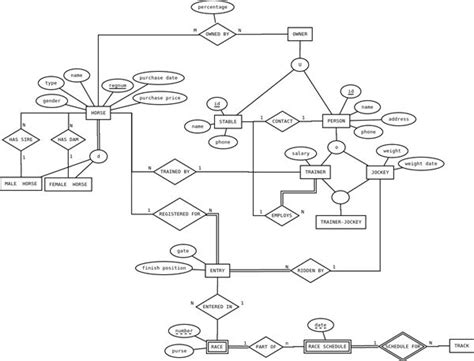 Er Diagram Questions