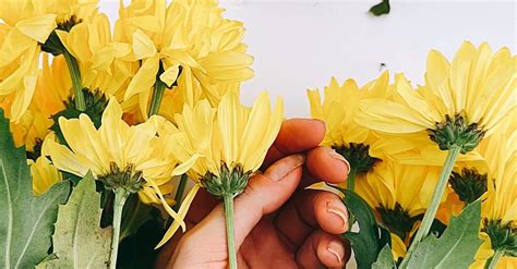 4k 해상도 꽃 꽃 침대 꽃꽂이 꽃다발 꽃이 만개한 꽃잎 낭만적인 노란 꽃 다채로운 밝은 봄 부케 사랑 생생한 생생한 색상 선물 손 손가락