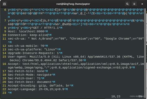 Tcpdump抓包tcpdump 127001 Csdn博客