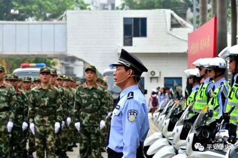 肇慶市公安局舉行黨的十九大安保誓師大會 每日頭條