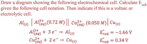 solved draw a diagram showing the following electrochemical cell