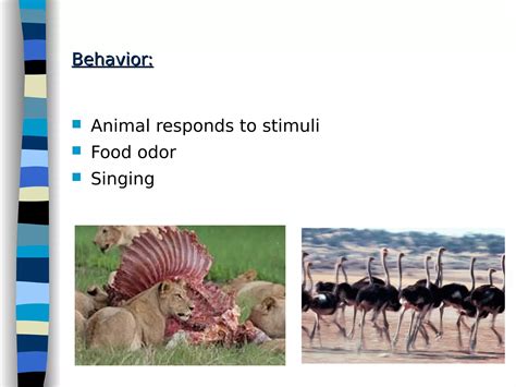 Cs6461 Object Oriented Programming Ppt