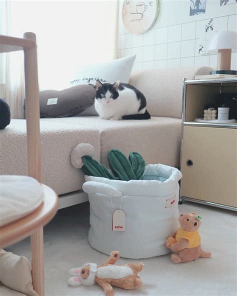 마슝이 집사 집꾸미기펫테리어diy 제품제공 좋아하는 컬러가 있으신가요 저는 요즘 블루와 베이지 컬러가 좋아요 그래서 최애 컬러를 닮은 매트 두가지로 집안