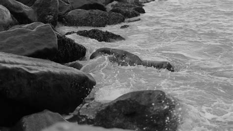 [video] Lara Walsh On Linkedin Hapsburg Lloyd Improves Customer Experience And Monitors Esg