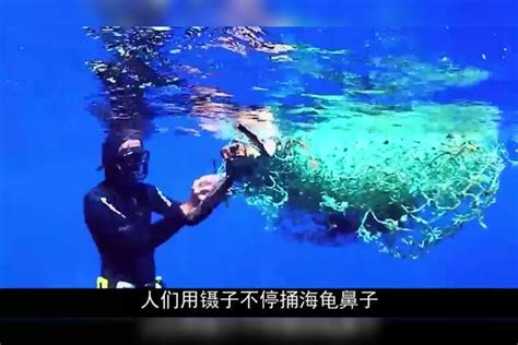 惊心动魄！海龟被渔网缠住，危急时刻人们暖心救援