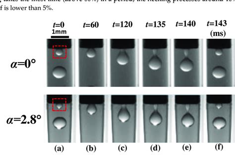 The Formation Process One Period Of A Paraffin Droplet Under Download Scientific Diagram