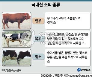 국내산 소의 종류 연합뉴스