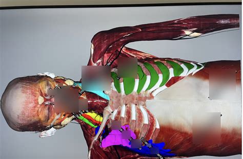 Resp 1 Diagram Quizlet