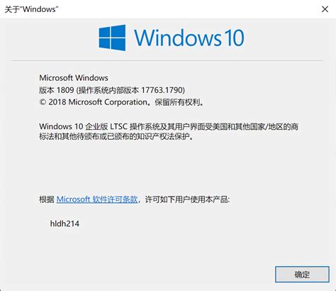 Infinity Crash On Windows 10 Issue 62 Portapps Discord Portable