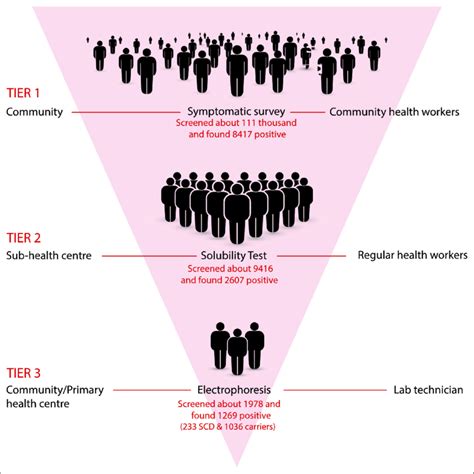 Scheme Of Population Level Screening Of Sickle Cell Disease Scd In Download Scientific