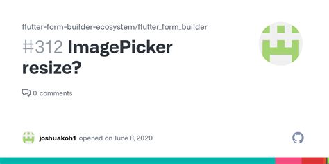 Imagepicker Resize · Issue 312 · Flutter Form Builder Ecosystem Flutter Form Builder · Github