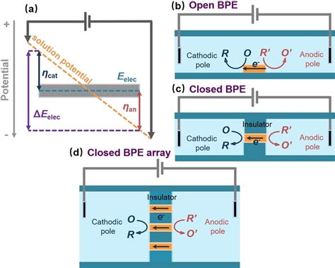 A Interfacial Potential Difference Of Bpes Schematic Diagram Of B Download Scientific