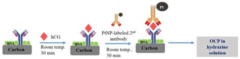 Electrochemical Immunoassay Using Open Circuit Potential Detection