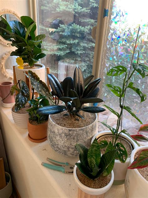 My Ding A Ling My Ding A Ling I Want You To Play With My Ding A Ling