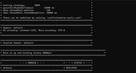 Mule Standalone Runtime Setup And Registering With Anypoint Platform Tgh