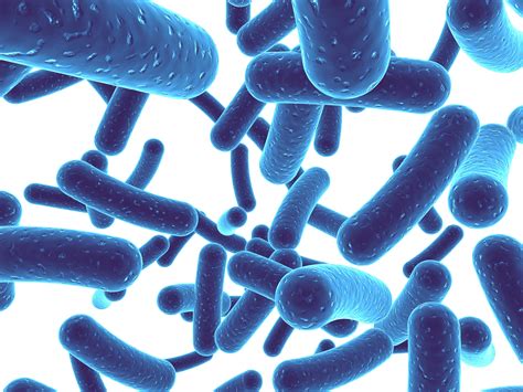 The Latest on Probiotics and Skin Health - Next Steps in Dermatology