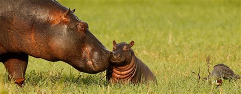 Not Just Use Git But Know How Git Symbolic Ref Work Highly Distinguish